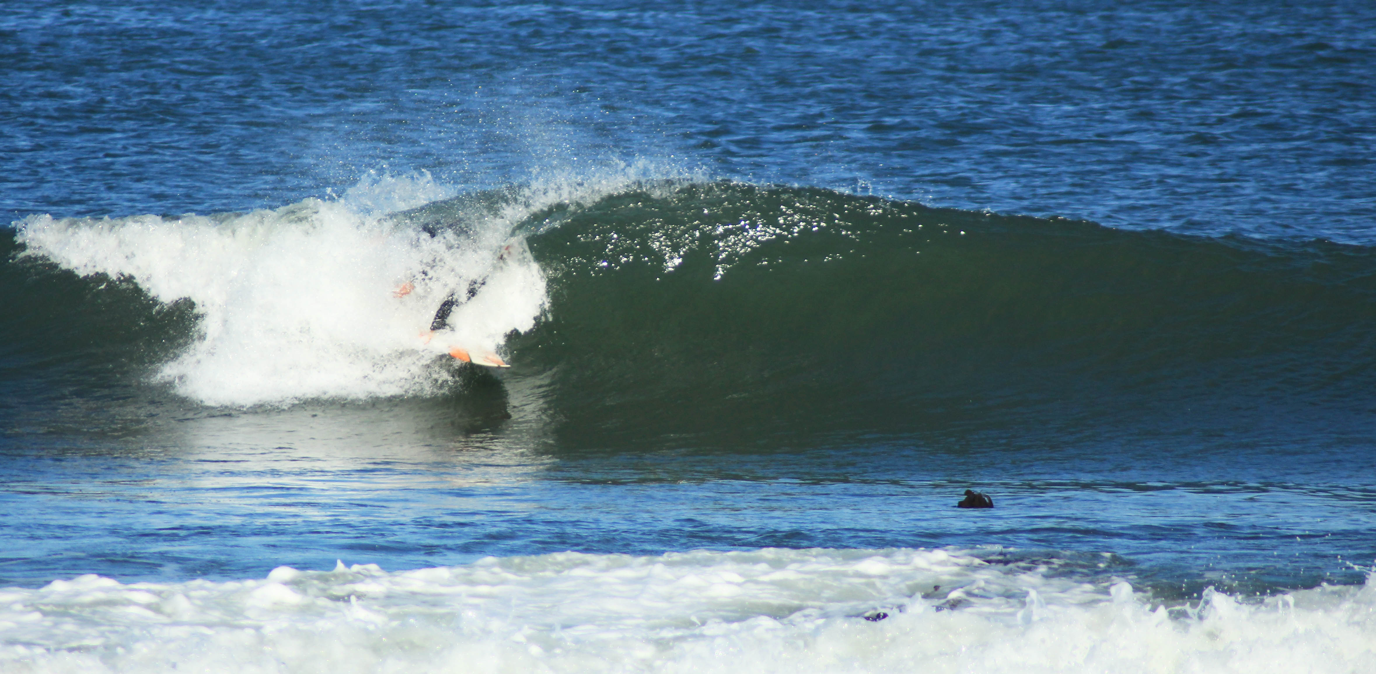 Guilherme Frainer Bio